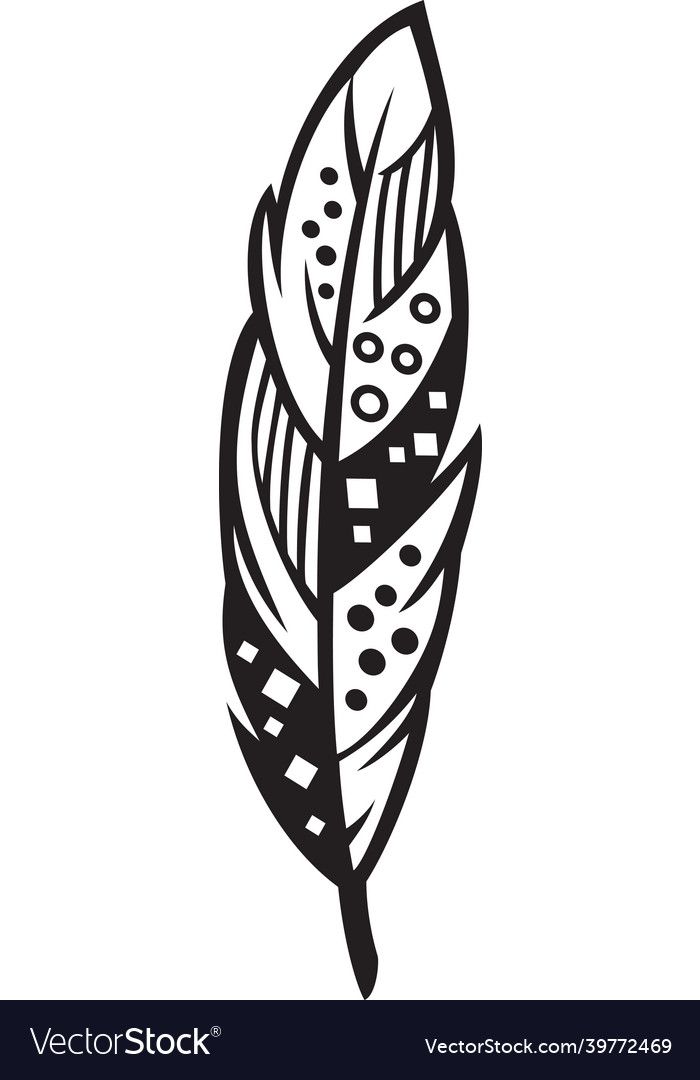 Boho feather Royalty Free Vector Image - VectorStock