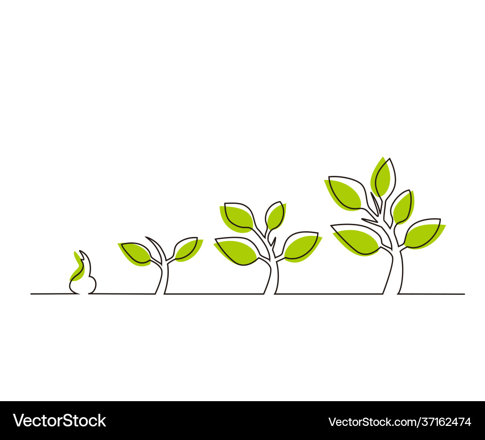 Continuous line drawing step tree growth Vector Image