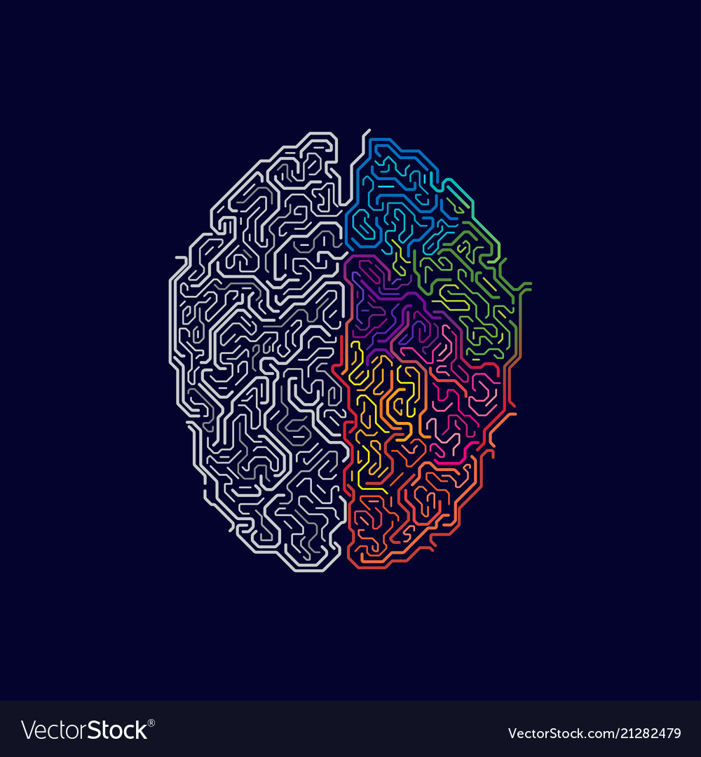 Brain functions Royalty Free Vector Image - VectorStock