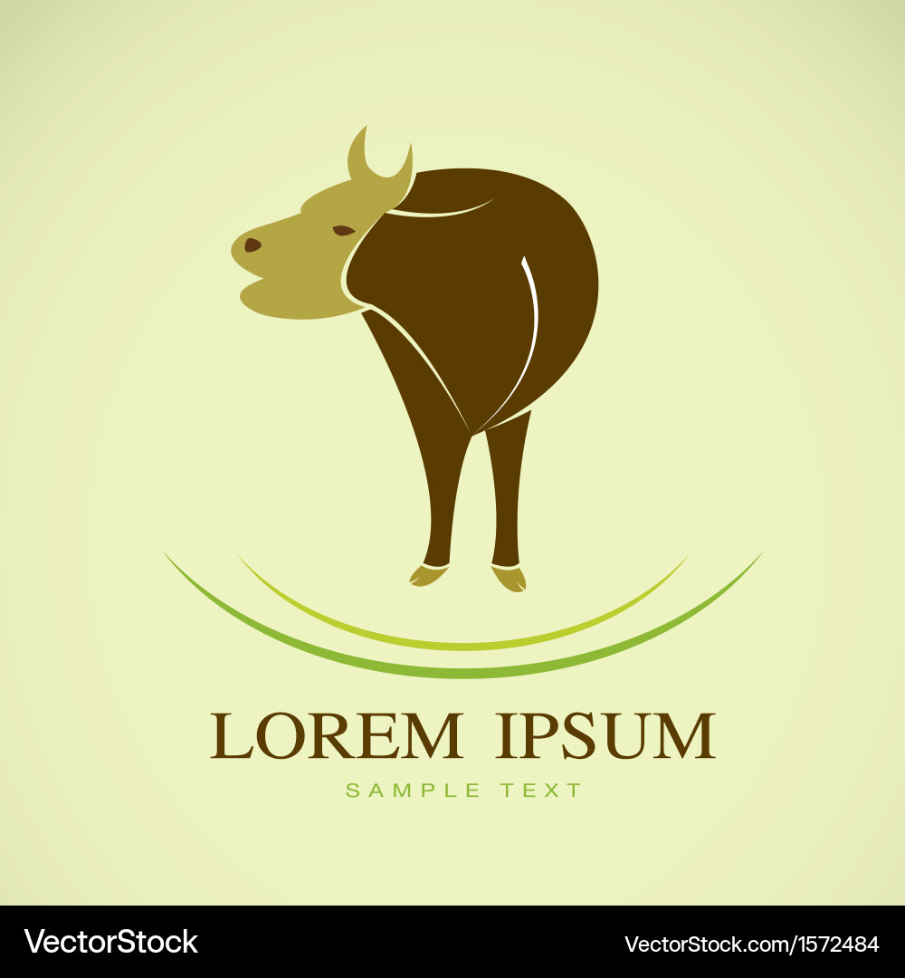Cow Royalty Free Vector Image - VectorStock