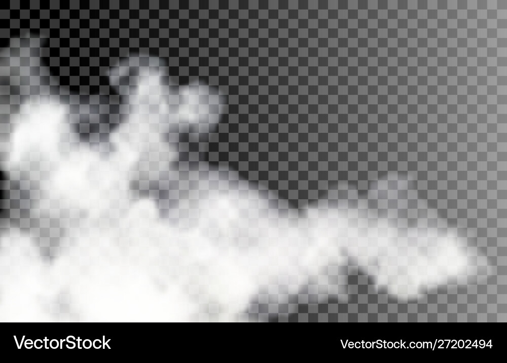 Fog on transparent background Royalty Free Vector Image
