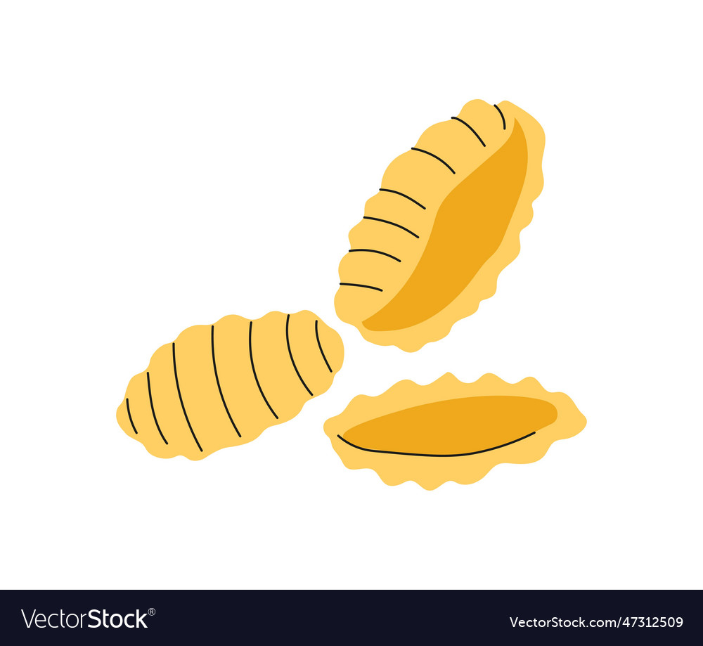 Shell pasta type concept Royalty Free Vector Image