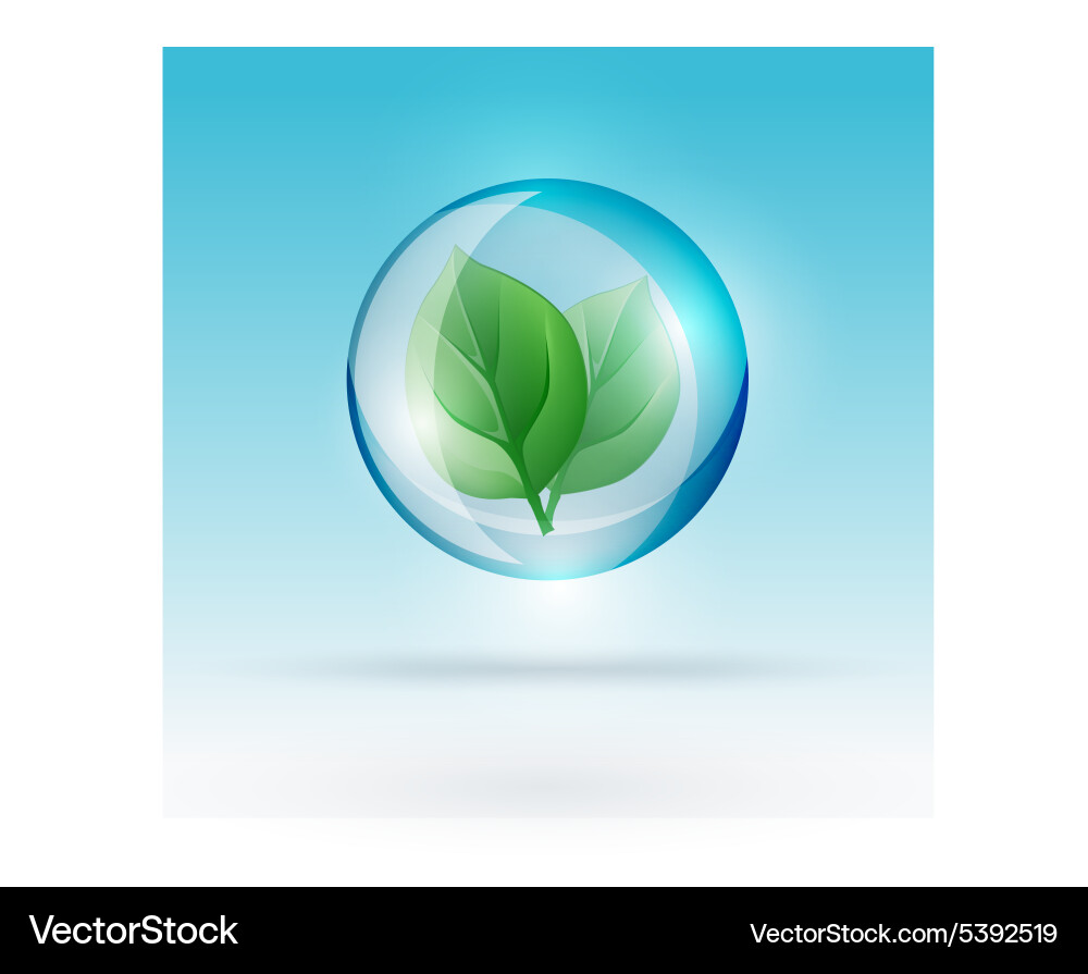 Bubble with leaf Royalty Free Vector Image - VectorStock