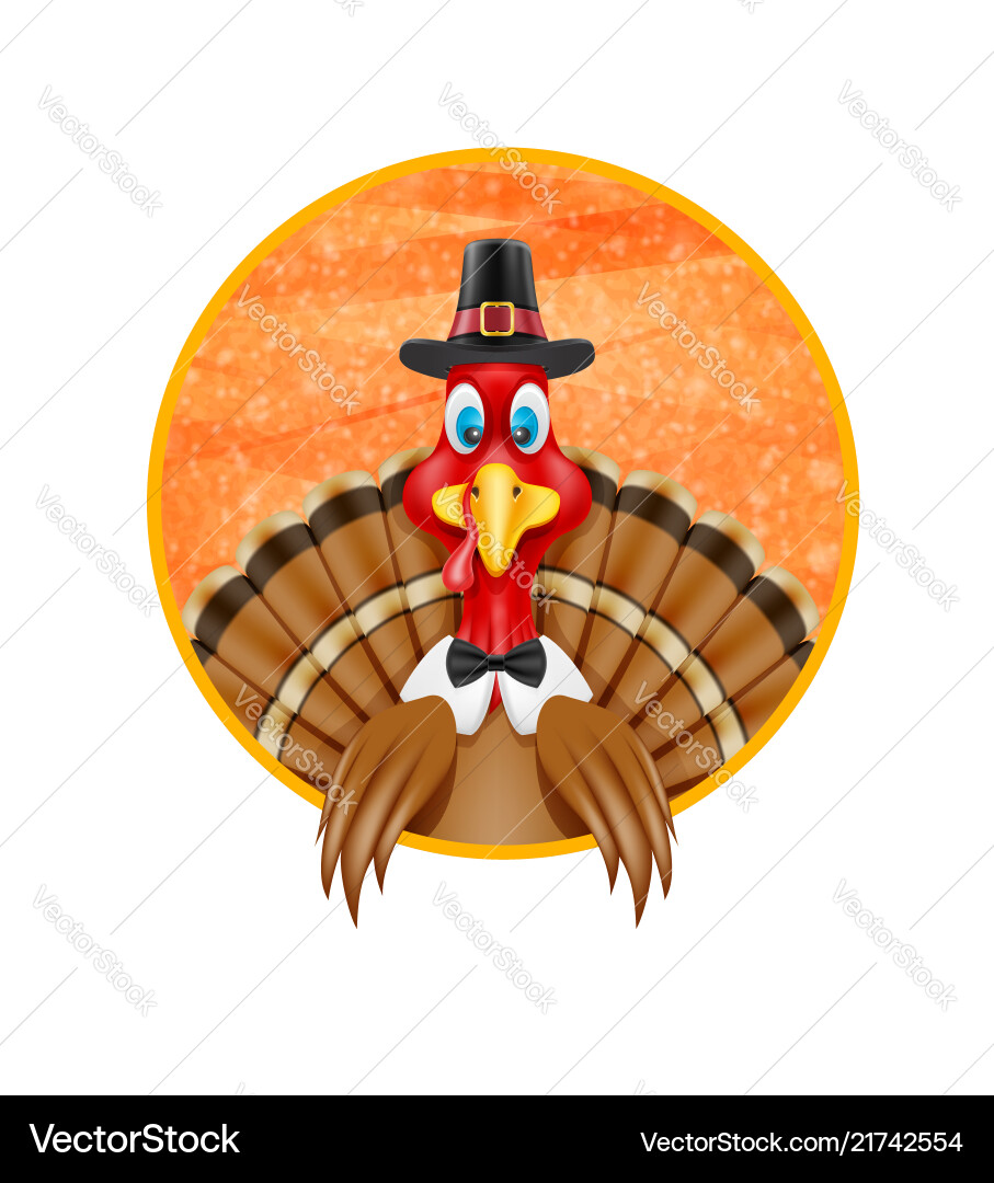 Thanksgiving turkey bird Royalty Free Vector Image