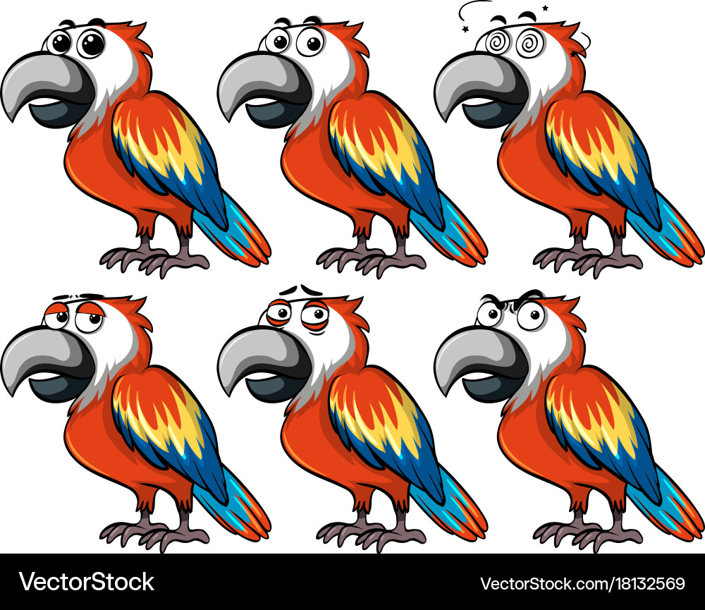 Parrot with different emotions Royalty Free Vector Image