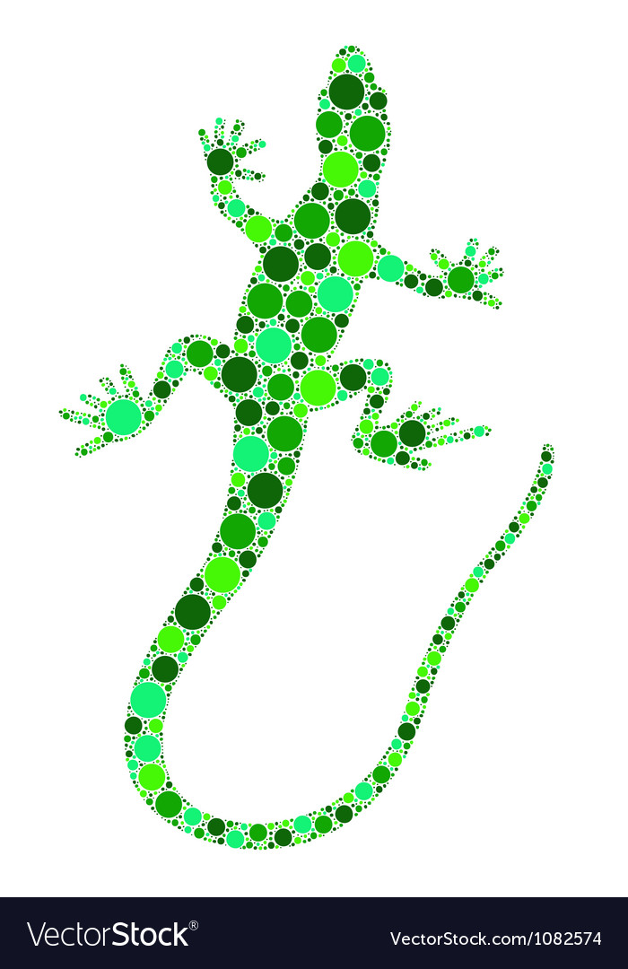 Lizard Royalty Free Vector Image - VectorStock