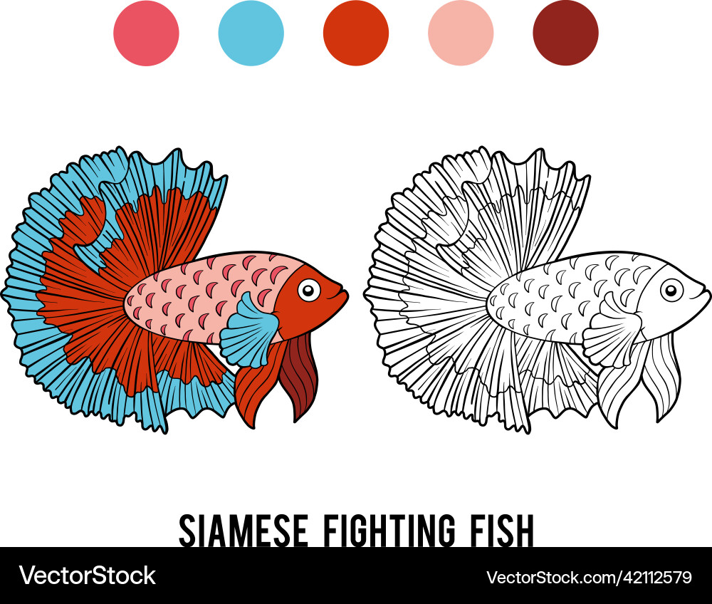 Coloring book siamese fighting fish Royalty Free Vector