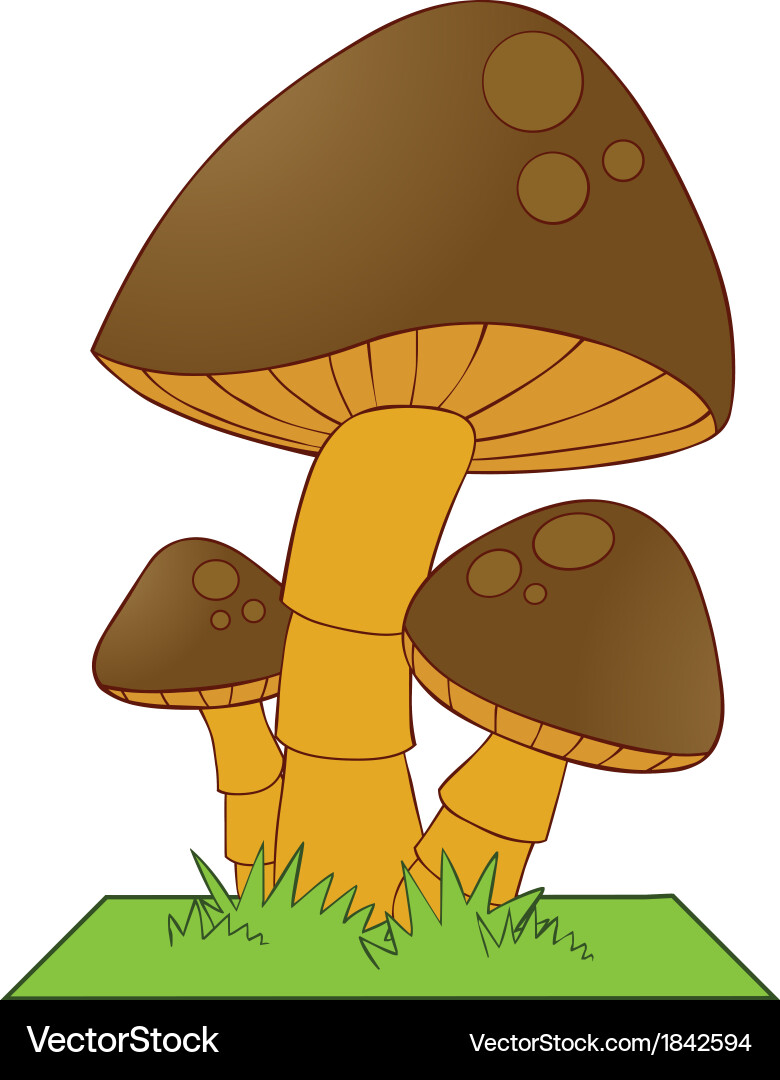 Mushroom Royalty Free Vector Image - VectorStock