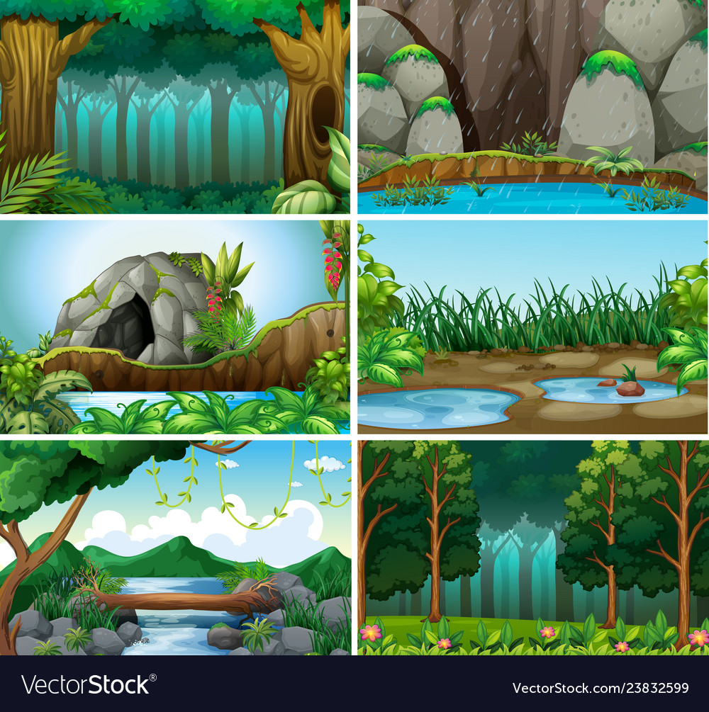 Set forest background Royalty Free Vector Image