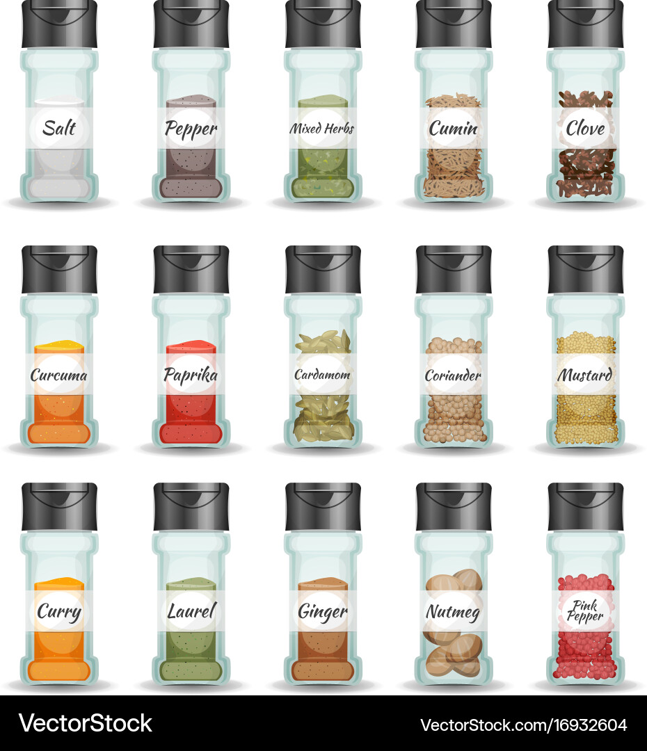 Spices pepper seeds and condiment set Royalty Free Vector