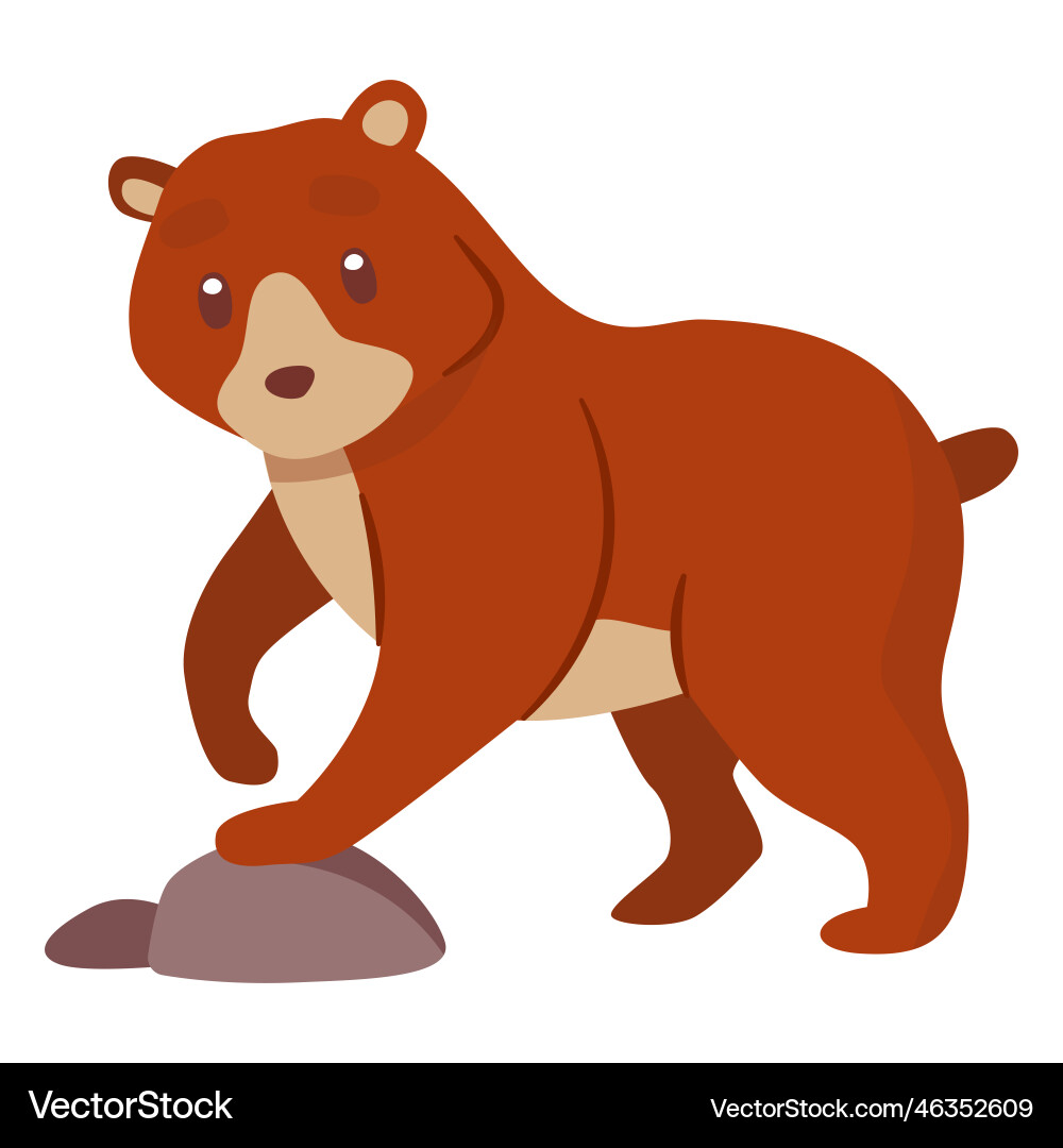 Bear animal cartoon Royalty Free Vector Image - VectorStock