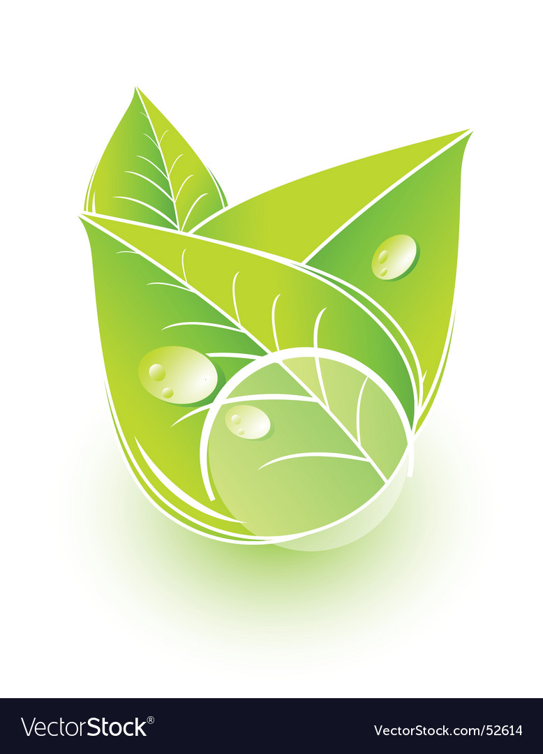 Leaf Royalty Free Vector Image - VectorStock