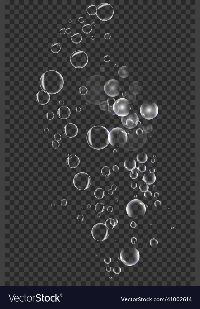 Set of realistic colorful soap bubbles to create Vector Image