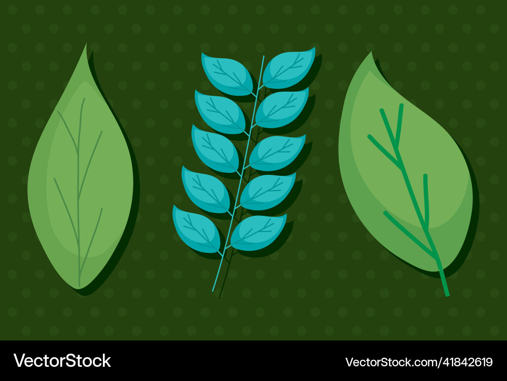 Leaves icon set Royalty Free Vector Image - VectorStock