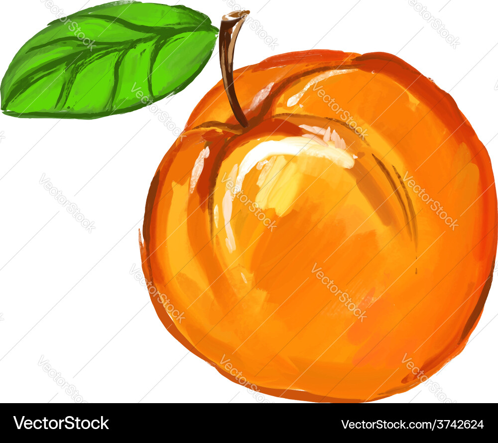 Peach ink hand drawn Royalty Free Vector Image