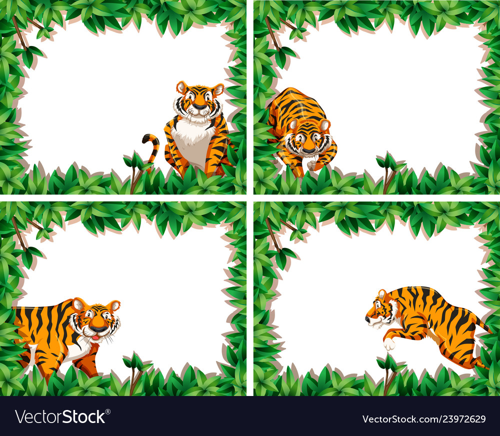 Set tiger leaf frames Royalty Free Vector Image