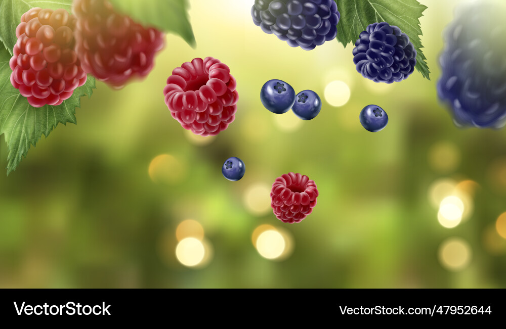 Blue berry and raspberry elements Royalty Free Vector Image
