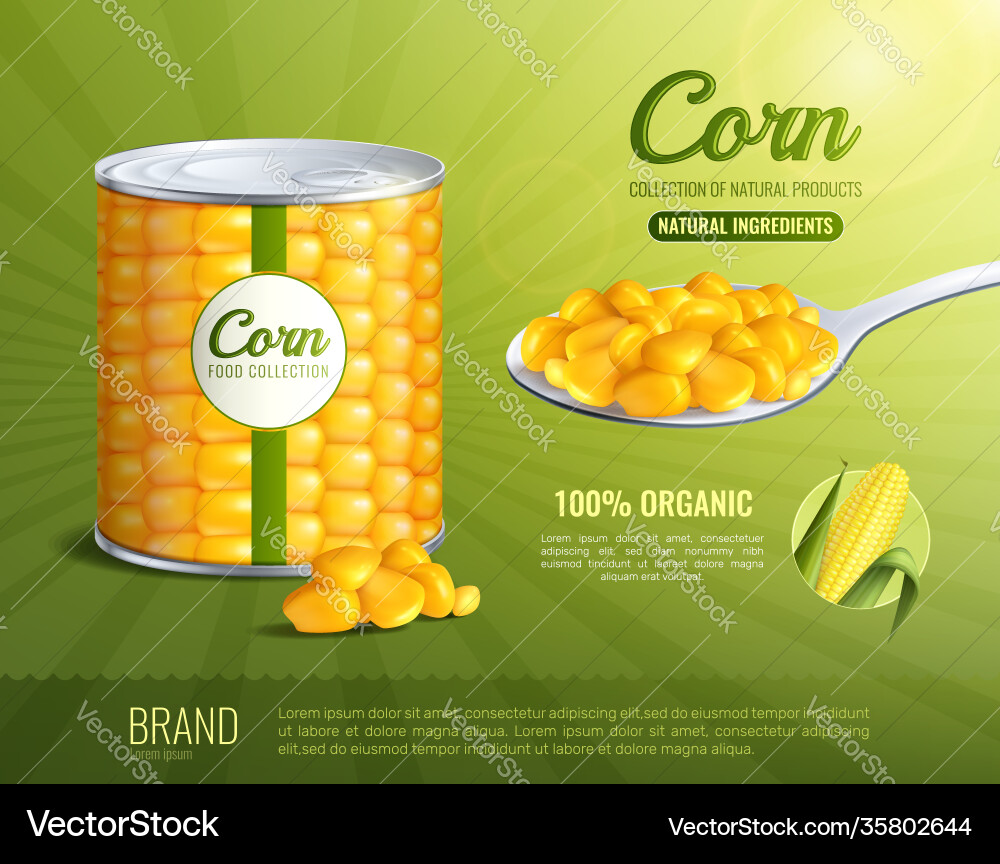 Corn advertising composition Royalty Free Vector Image