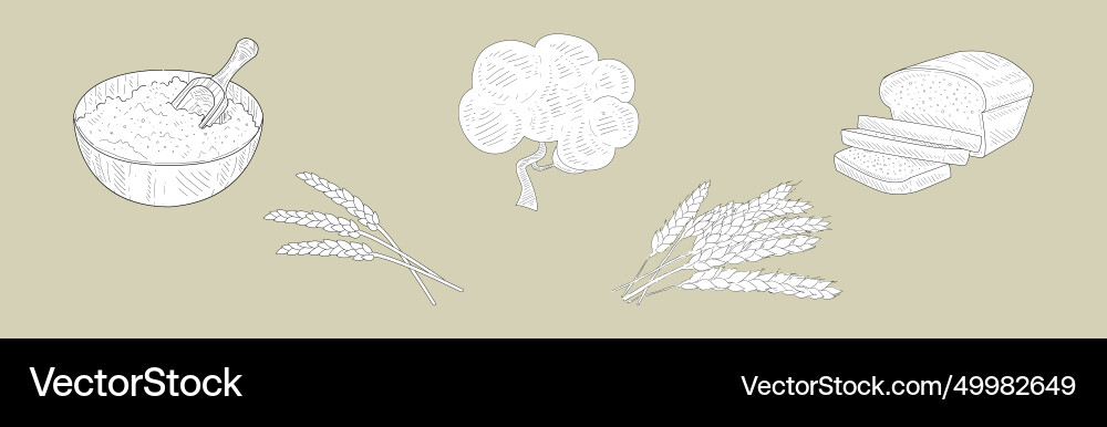 Wheat hand drawn element and items sketch Vector Image