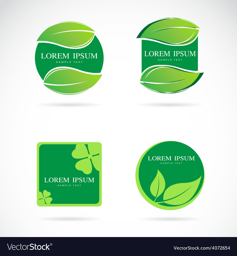 Leaf frame Royalty Free Vector Image - VectorStock