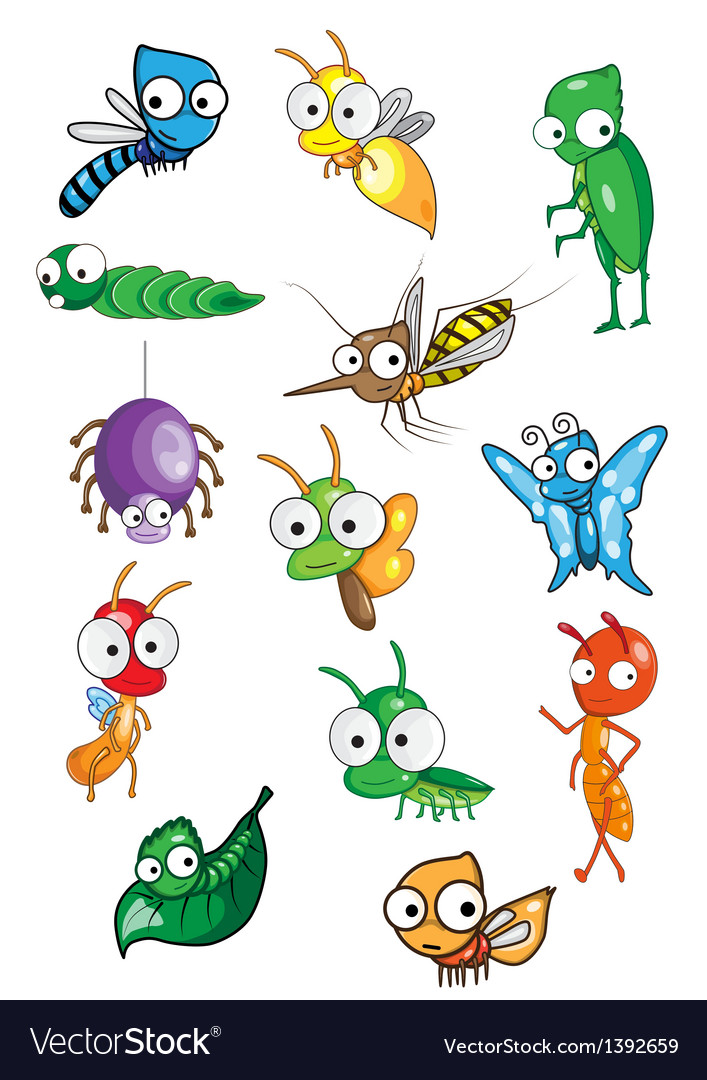 Collection of insect Royalty Free Vector Image