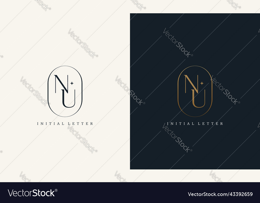 Premium nu logo monogram with gold circle frame Vector Image