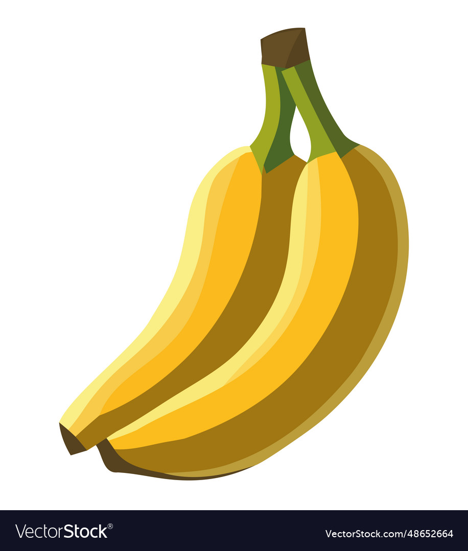Two bananas Royalty Free Vector Image - VectorStock