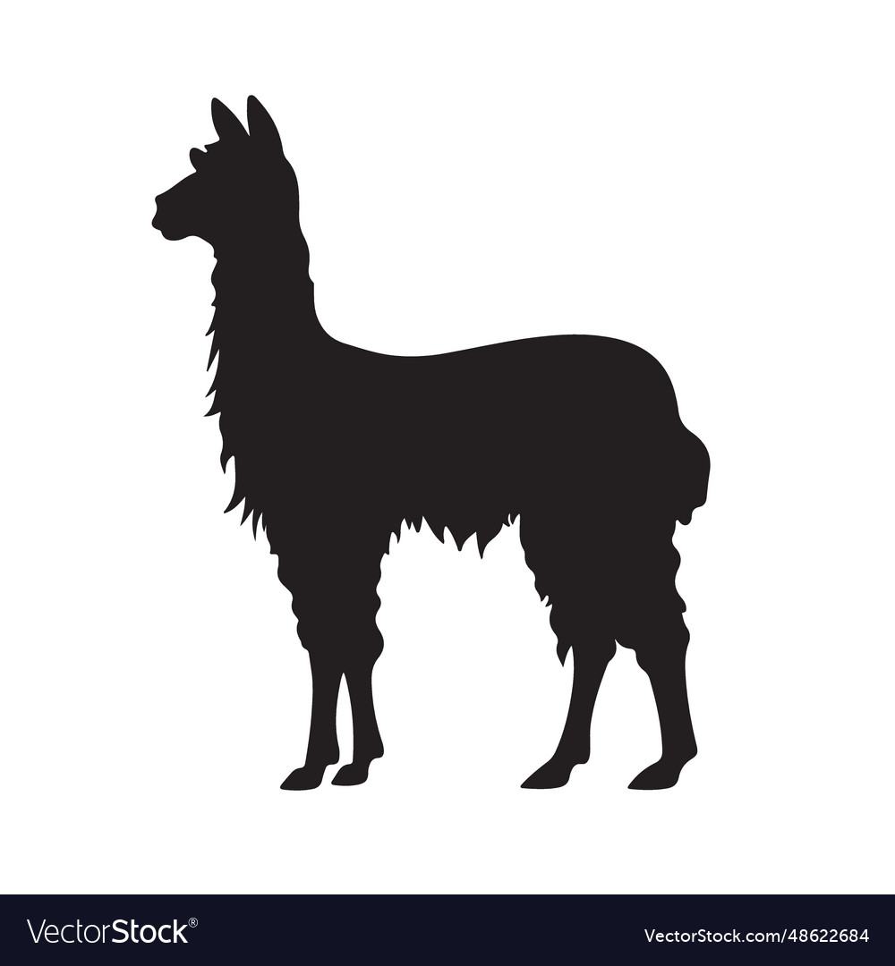 Llama silhouette Royalty Free Vector Image - VectorStock Llama silhouette Royalty Free Vector Image - VectorStock