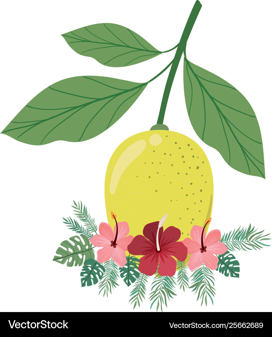 Lemon with leaves isolated icon Royalty Free Vector Image