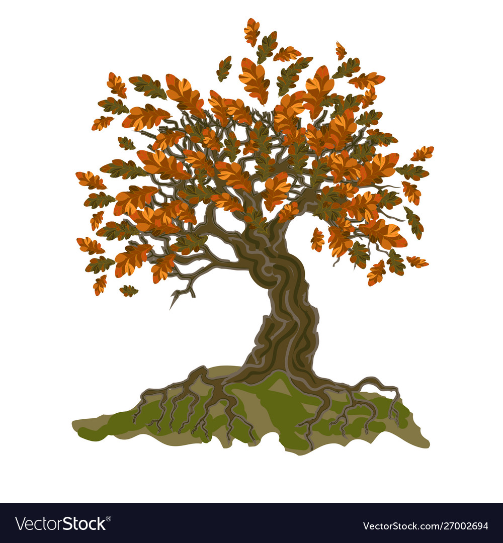 Autumn tree Royalty Free Vector Image - VectorStock