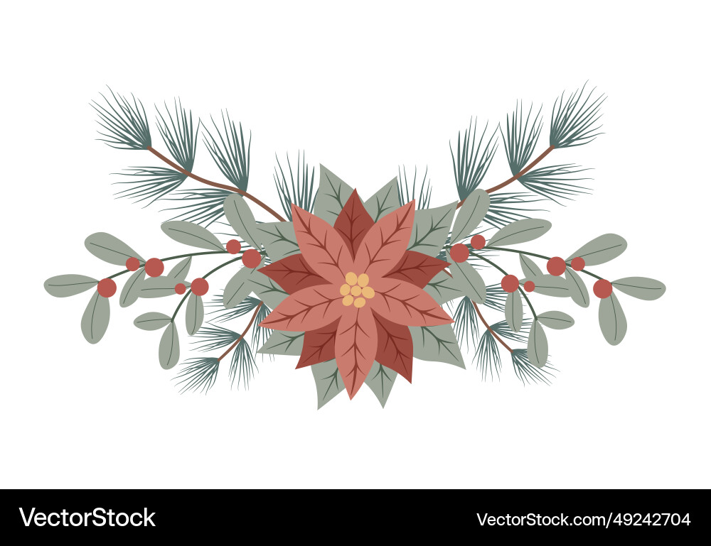Winter christmas floral composition with pancetta Vector Image