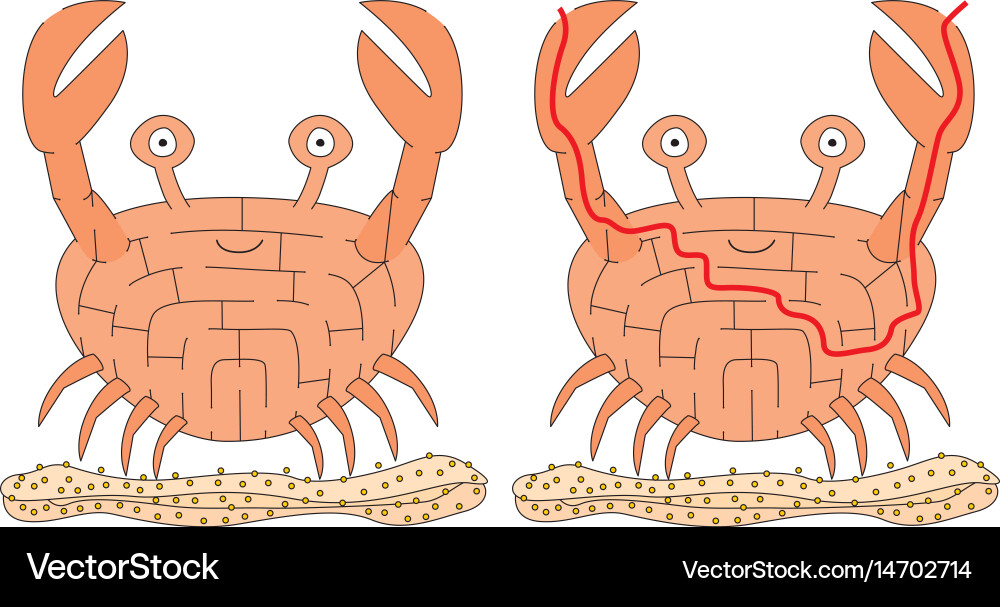 Easy crab maze Royalty Free Vector Image - VectorStock