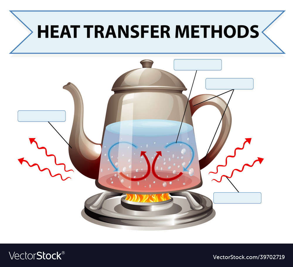 Heat transfer methods worksheet Royalty Free Vector Image Heat transfer methods worksheet Royalty Free Vector Image