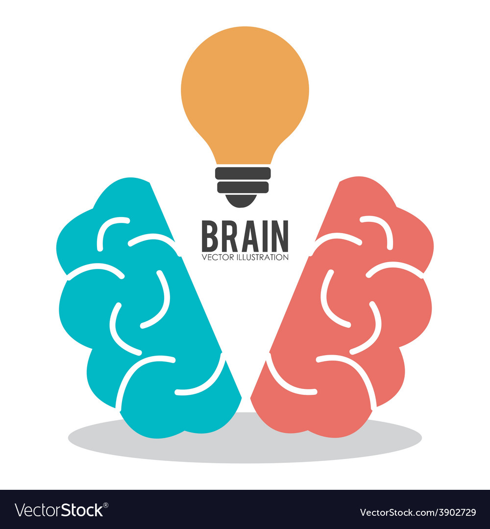 Brain design Royalty Free Vector Image - VectorStock
