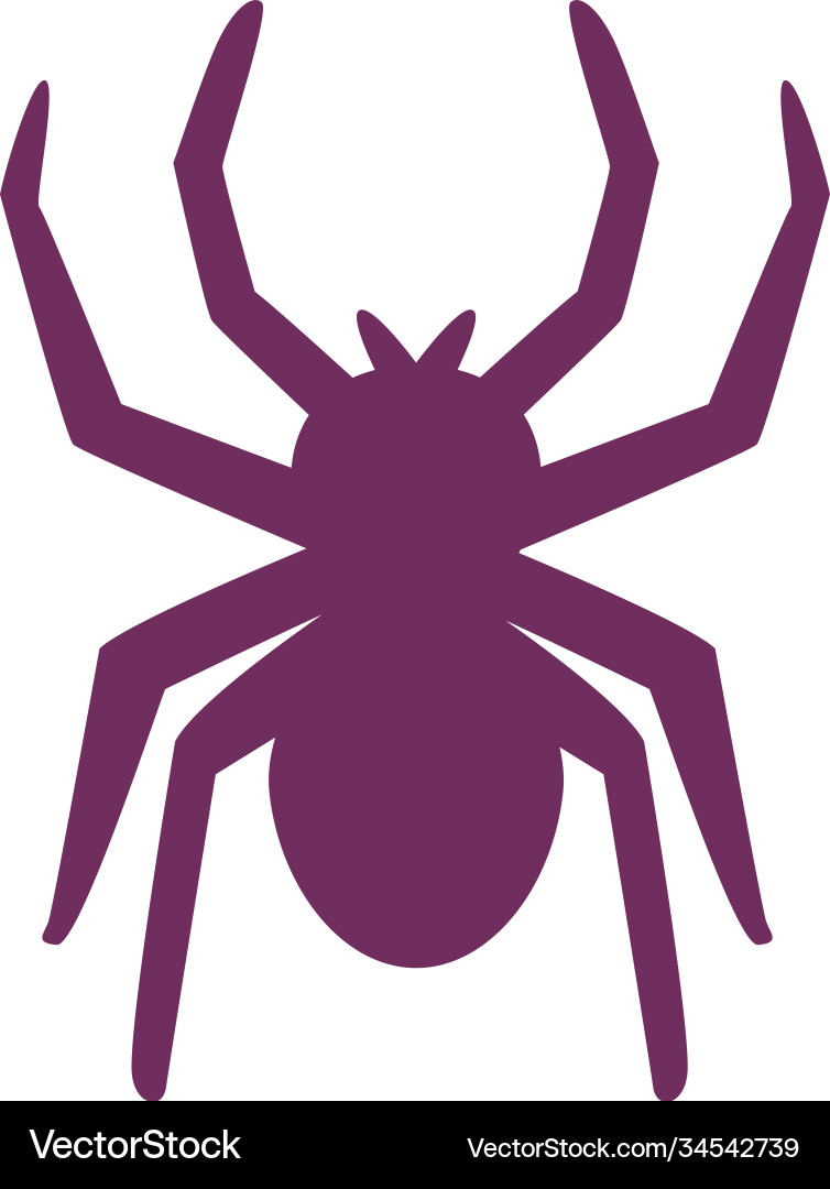 Halloween spider isolated style icon Royalty Free Vector