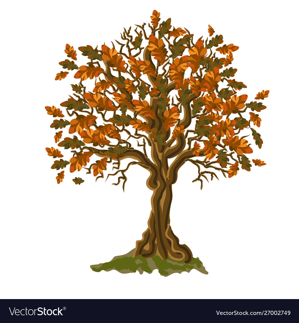Autumn tree Royalty Free Vector Image - VectorStock