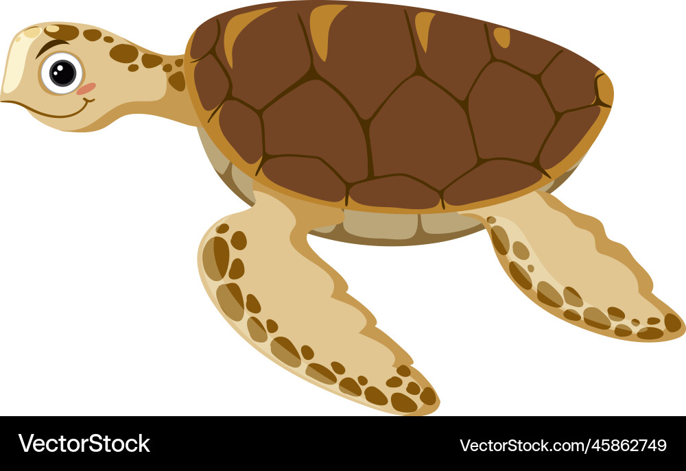 Sea turtle in cartoon style isolated Royalty Free Vector