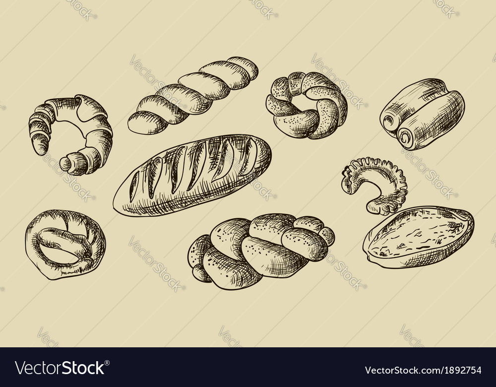 Bread Royalty Free Vector Image - VectorStock