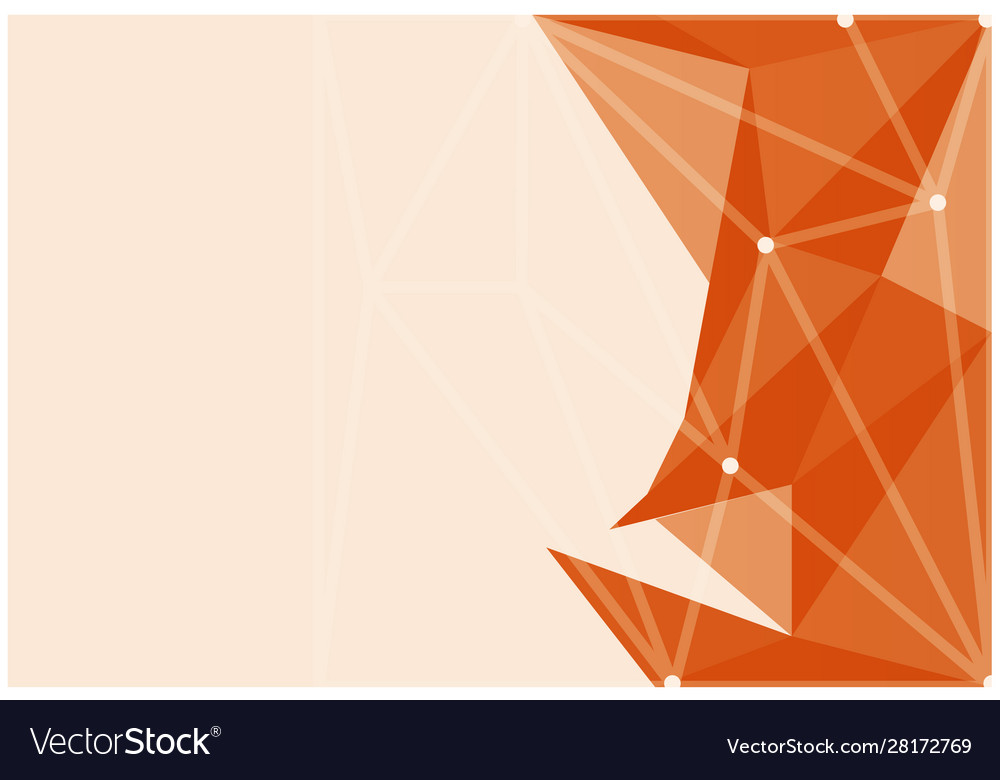 Background template with abstract patterns Vector Image