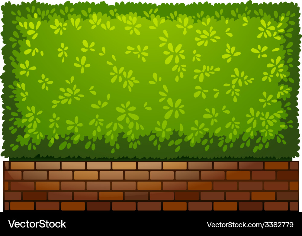 A landscaping green plant Royalty Free Vector Image