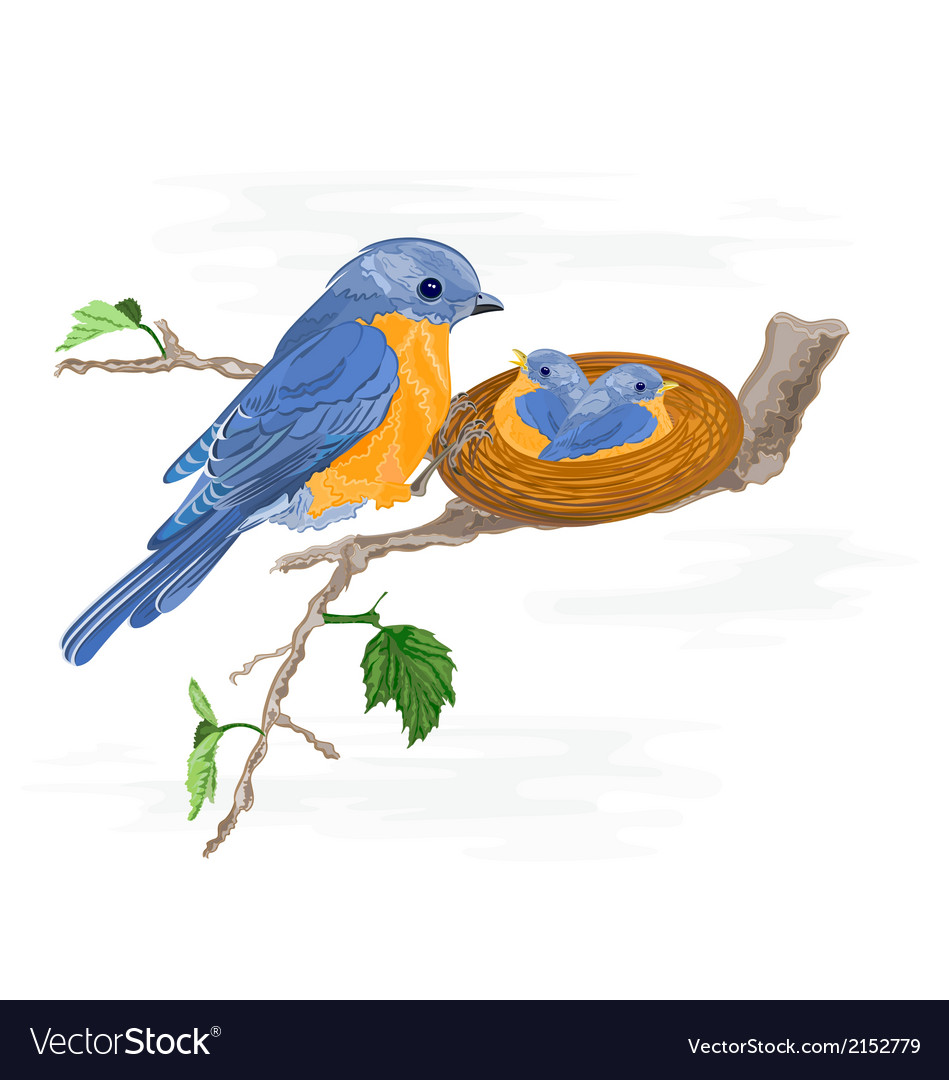 Birdie-and-little-birdsin nest Royalty Free Vector Image