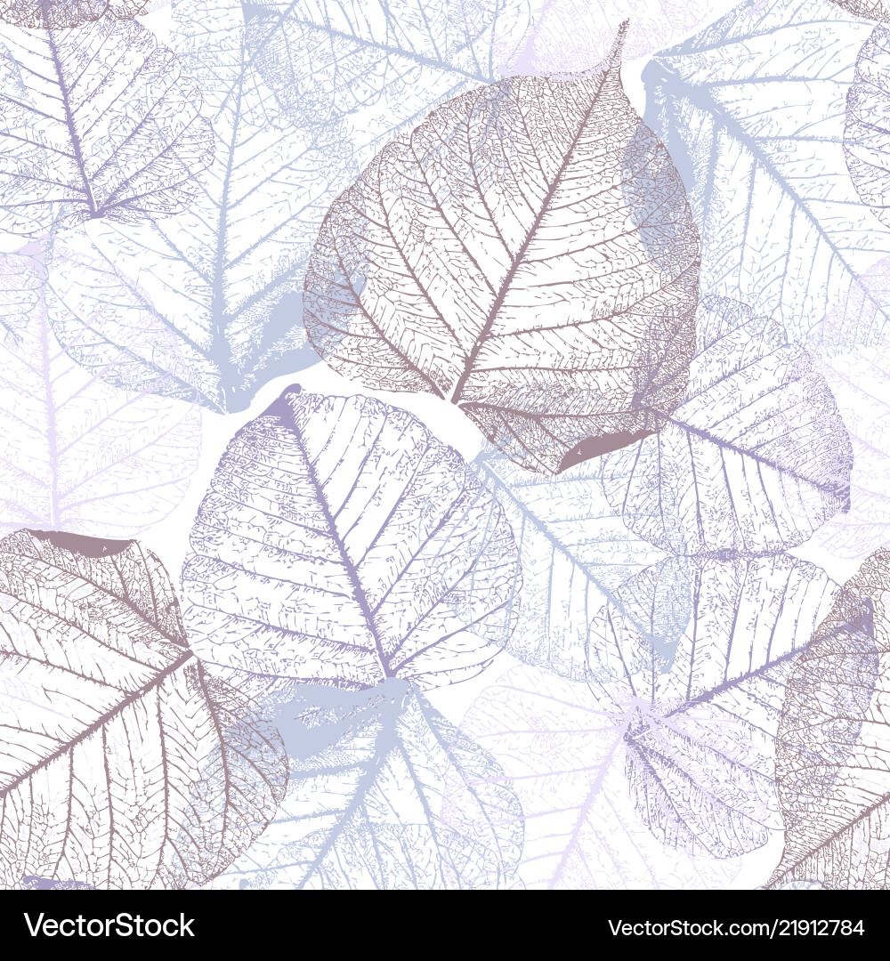 Festive winter seamless pattern with hoarfrost Vector Image