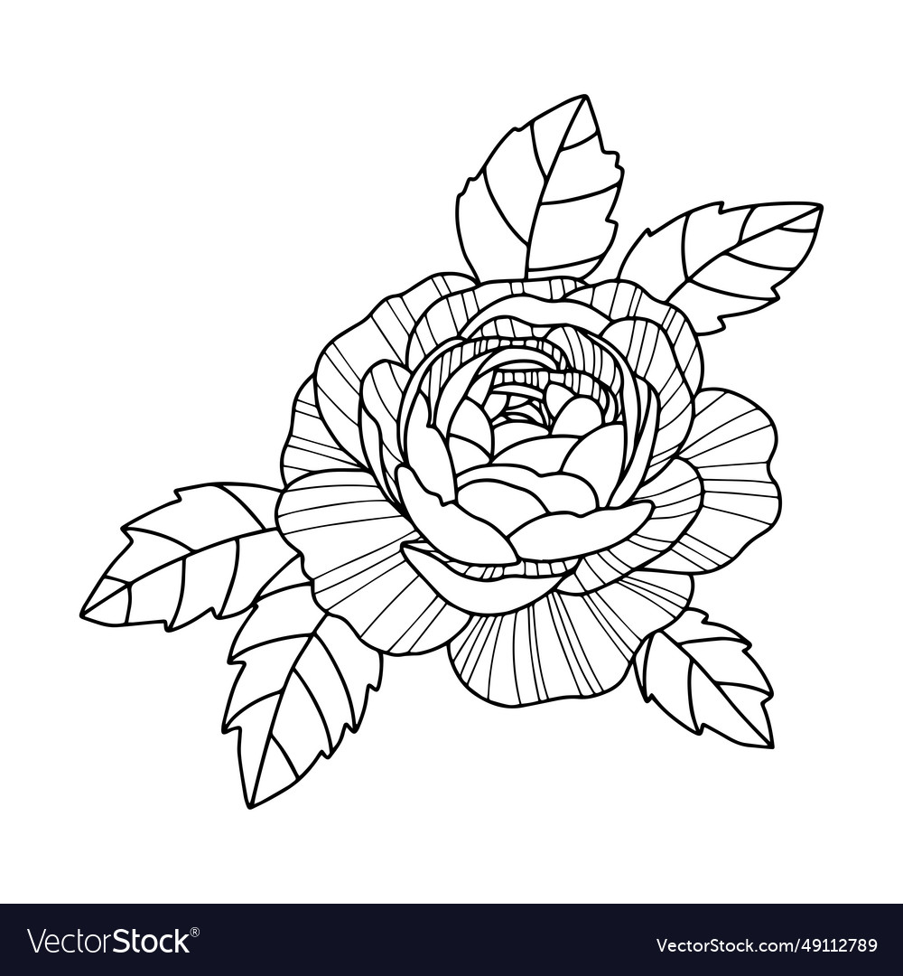 Rose Flower Icon Continuous One Line Drawing Vector Image
