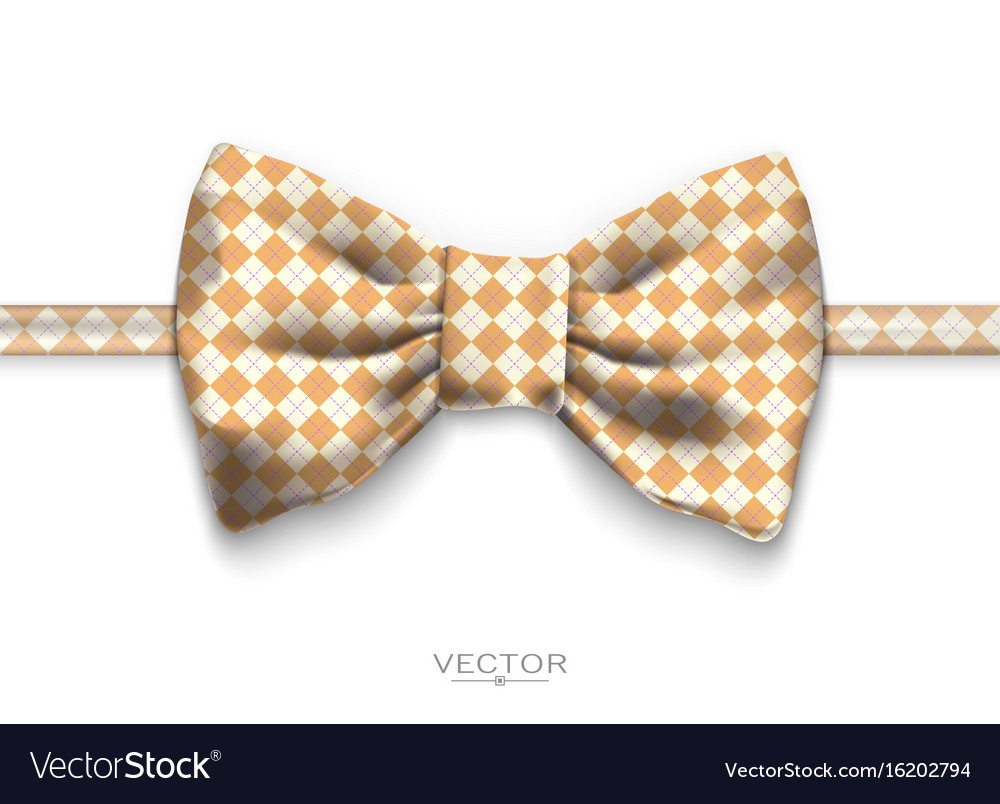 Realistic bow tie Royalty Free Vector Image - VectorStock