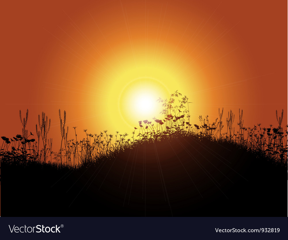 Sunset background Royalty Free Vector Image - VectorStock