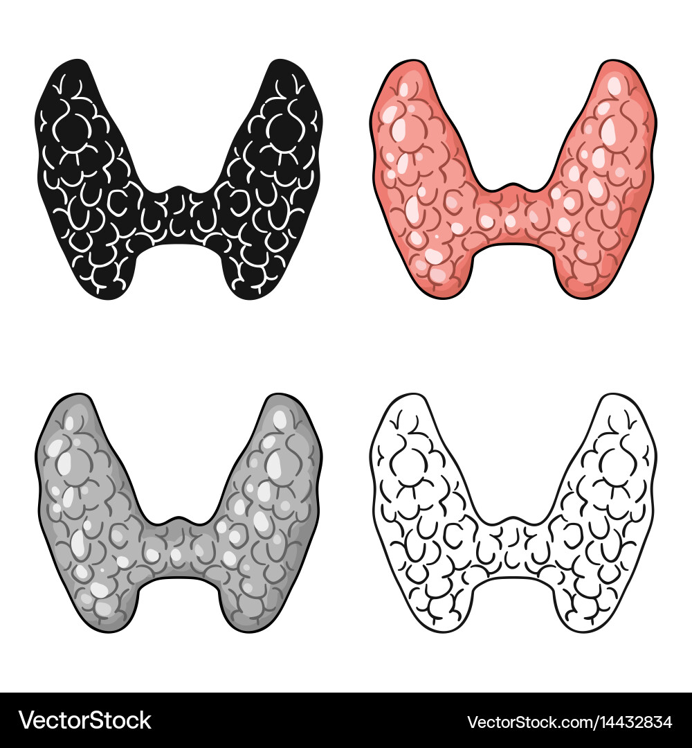 Human thyroid icon in cartoon style isolated Vector Image