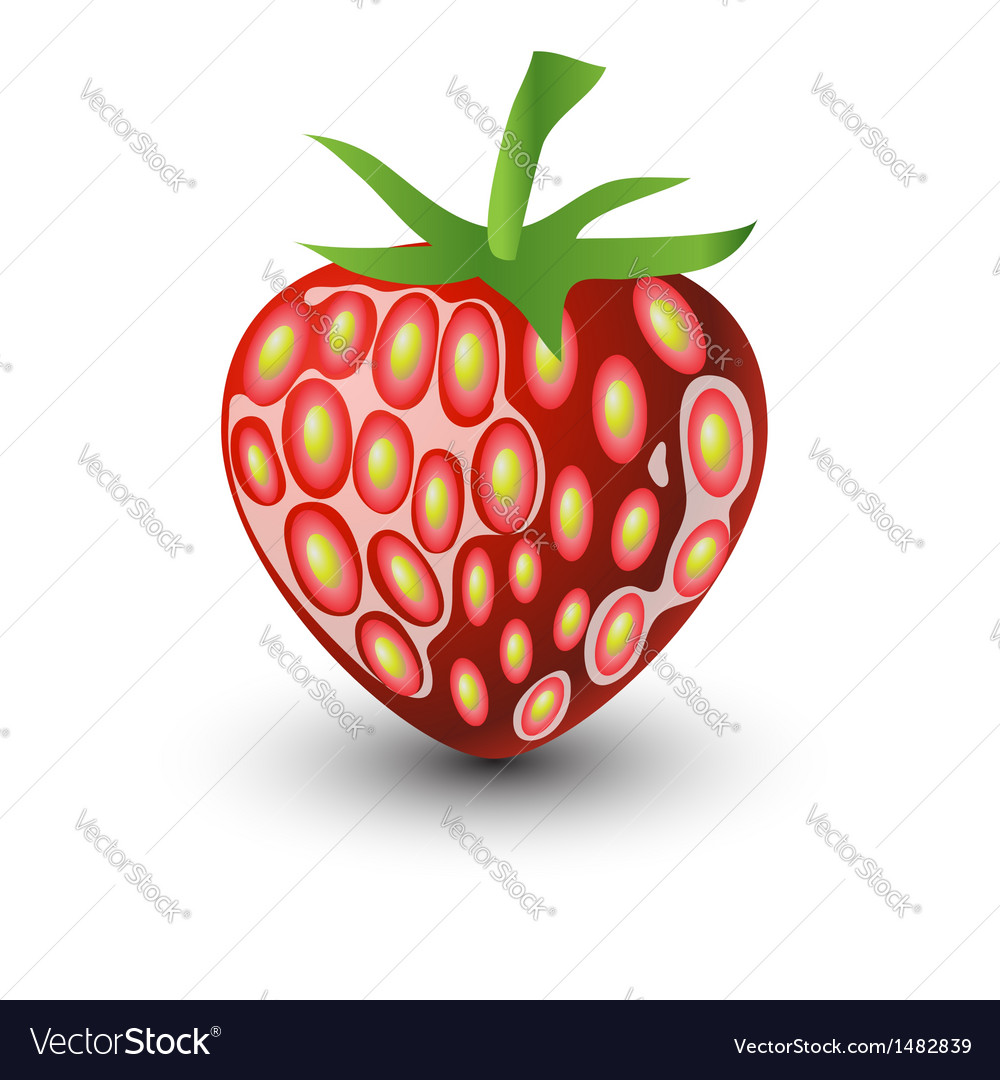 Strawberry Royalty Free Vector Image - VectorStock