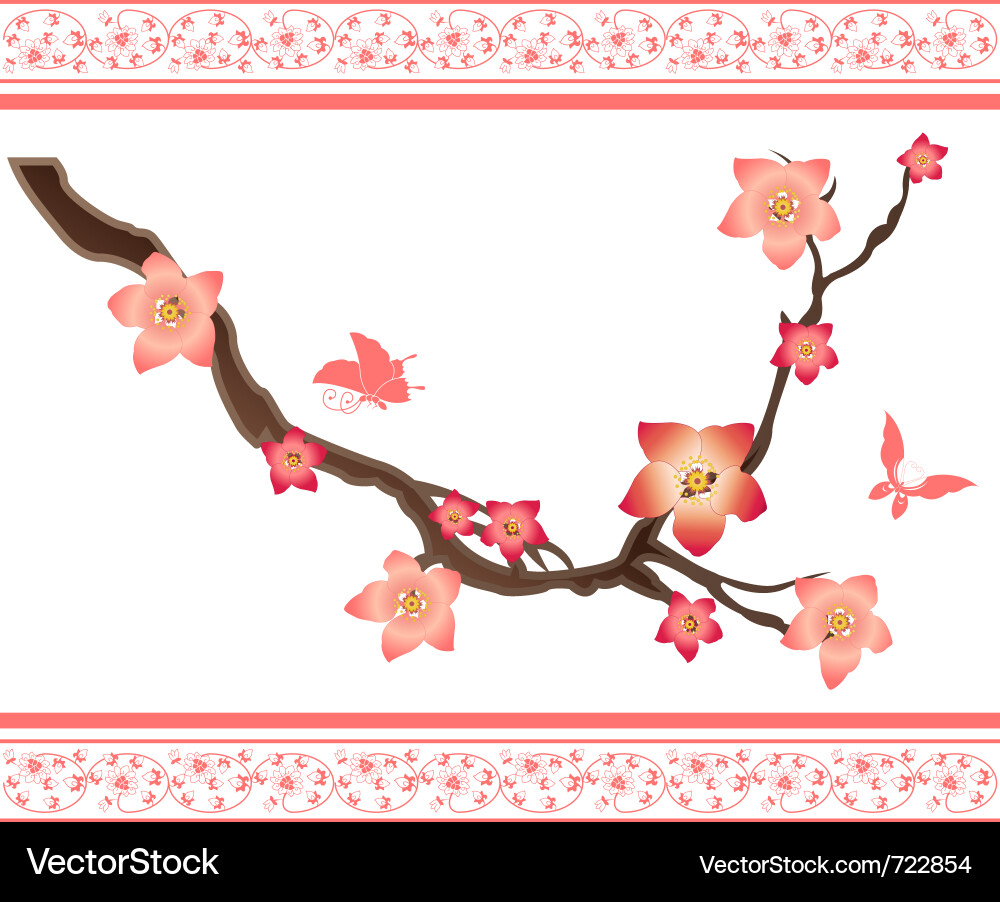 Sakura elements Royalty Free Vector Image - VectorStock