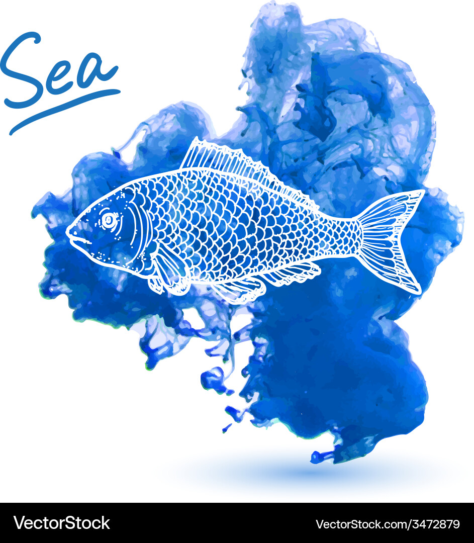 Sea fish Royalty Free Vector Image - VectorStock
