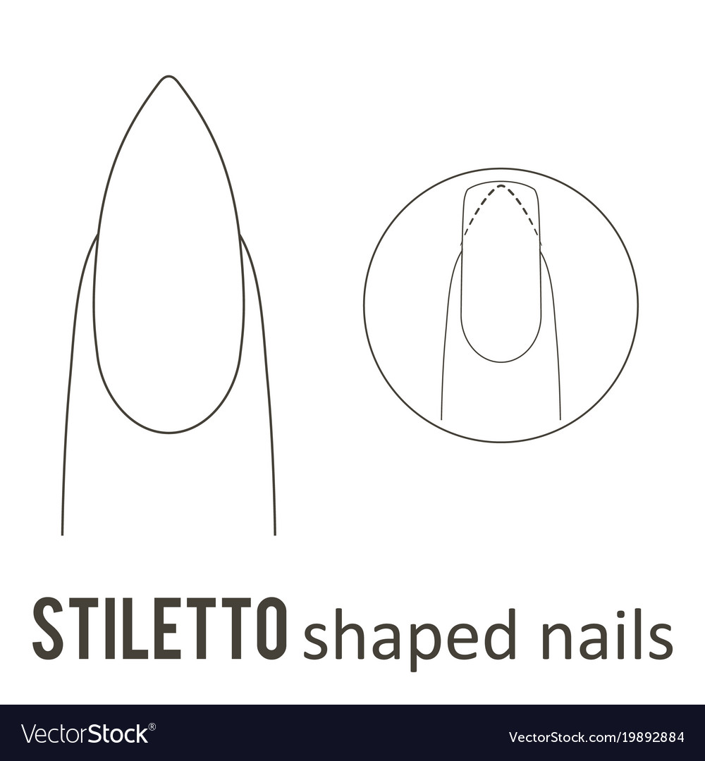 Nail Shape Stiletto Royalty Free Vector Image VectorStock